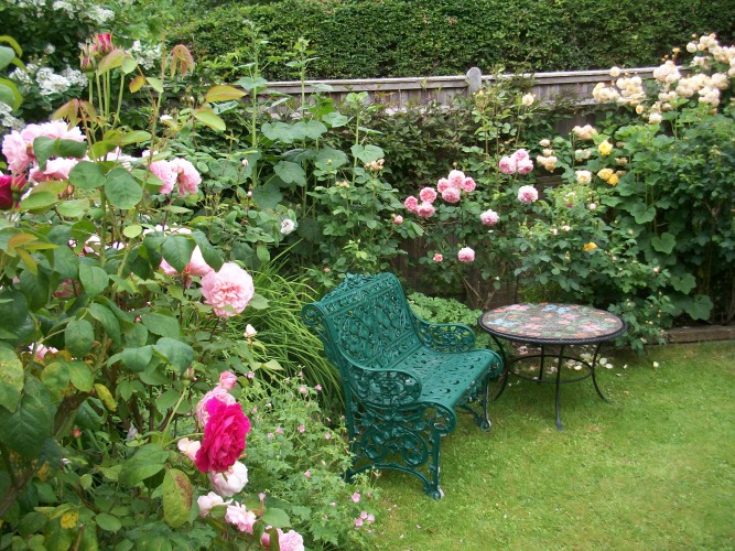 by Arcadia, A Cottage Rose garden | Arcadia Garden Design